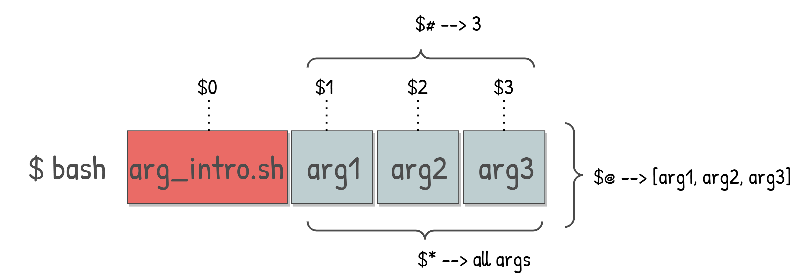 How To Parse Command Line Arguments In Bash
