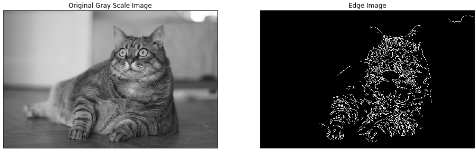 Introduction To Image Processing In Python With OpenCV